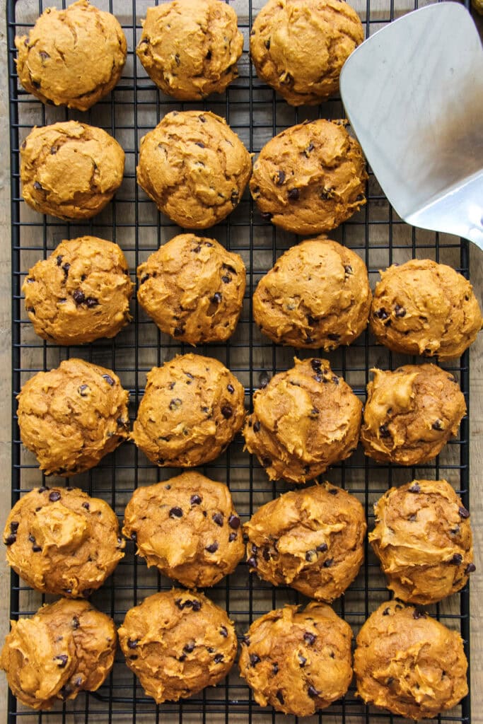 3 Ingredient Pumpkin Spice Cookies - Our Tasty Kitchen
